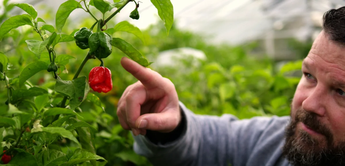 From 20 bottles to 1000s: how ChilliChump built a hot sauce empire ...